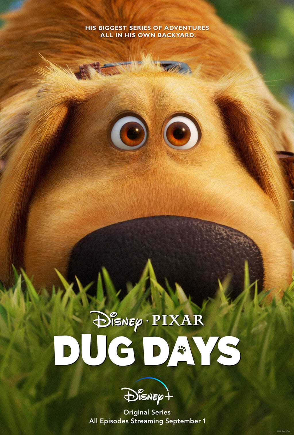 Continue the Story of UP with Pixar’s “Dug Days” on Disney+ » Whisky ...
