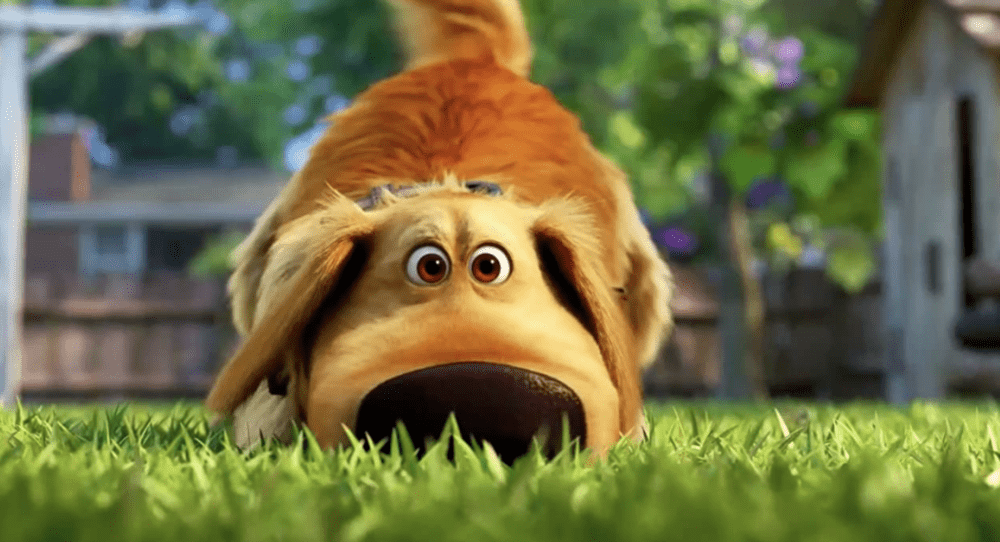 Continue the Story of UP with Pixar’s “Dug Days” on Disney+ » Whisky ...