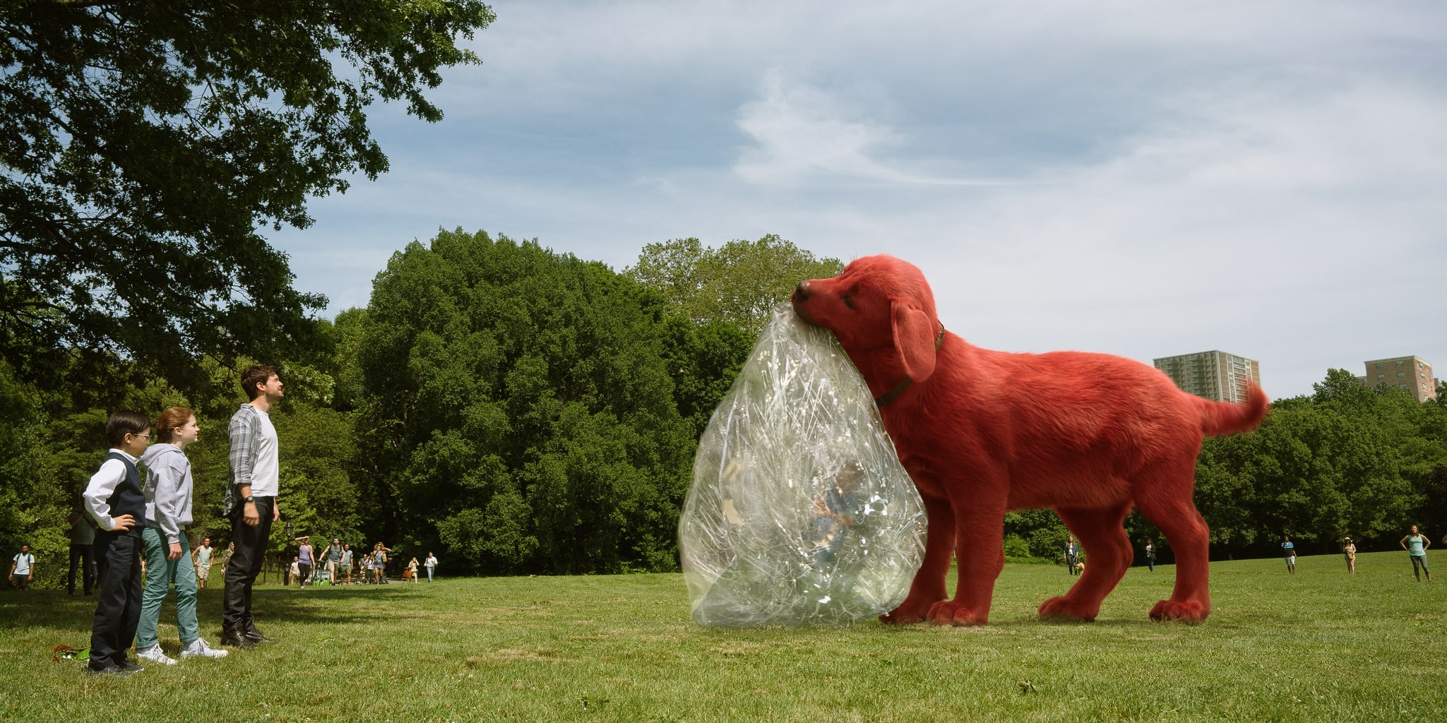 CLIFFORD THE BIG RED DOG Best Quotes » Whisky + Sunshine