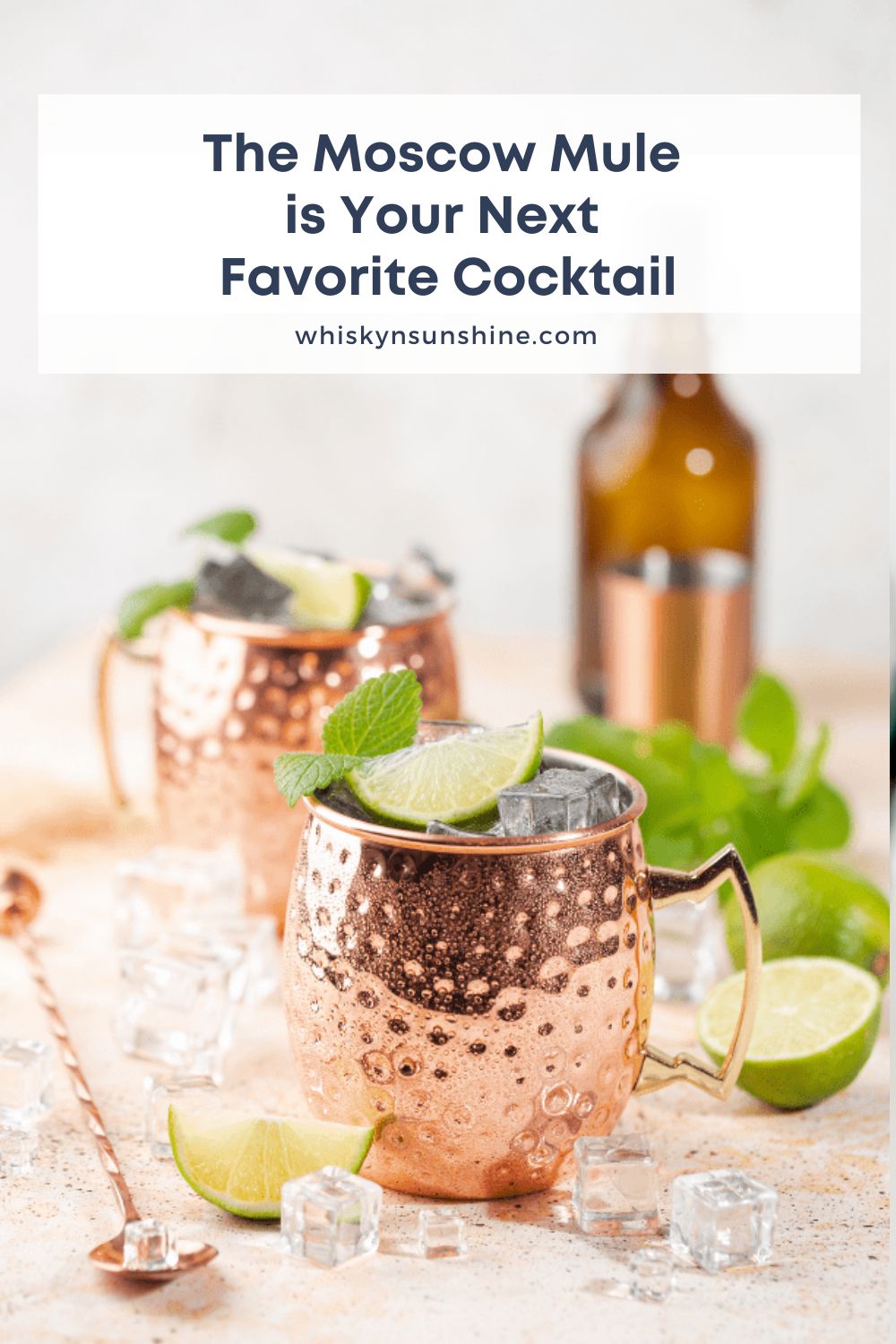 The Moscow Mule is Your Next Favorite Cocktail » Whisky + Sunshine